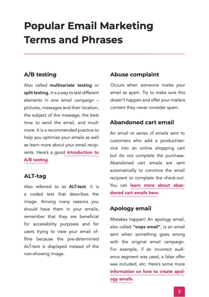 Lead magnet - Email Marketing Terminology